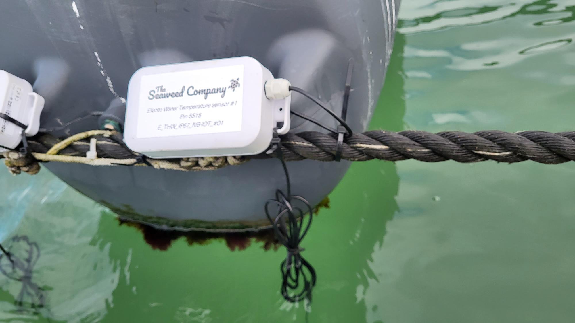 Monitoring of the sea water temperature with Efento NB-IoT sensors - Efento