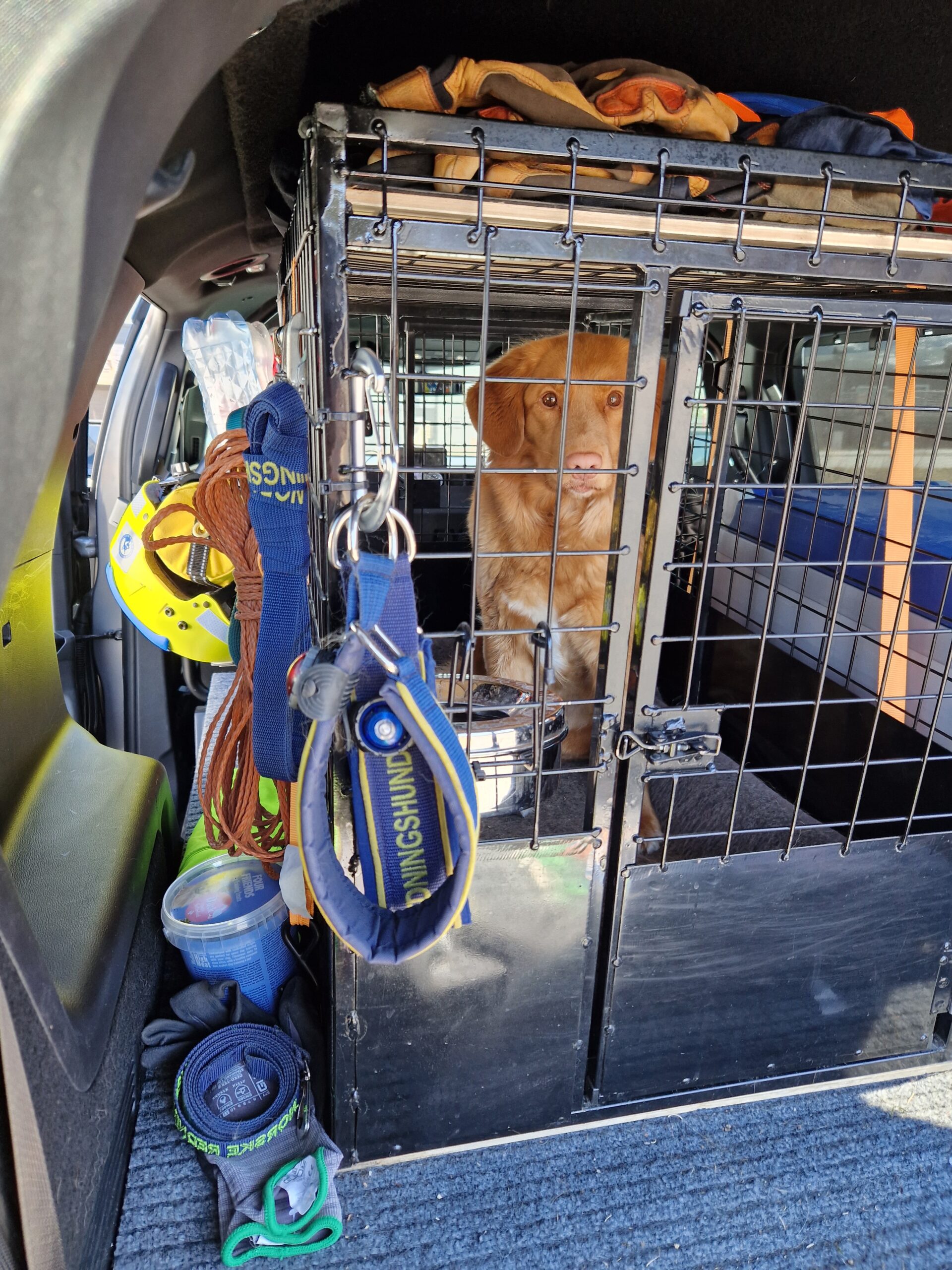 Rescue dogs transport conditions monitoring in Norway - Efento Efento